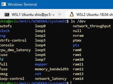 ASCII.jp：プレビューが開始されたWindows Subsystem for Linux 2を動かす (1/2)
