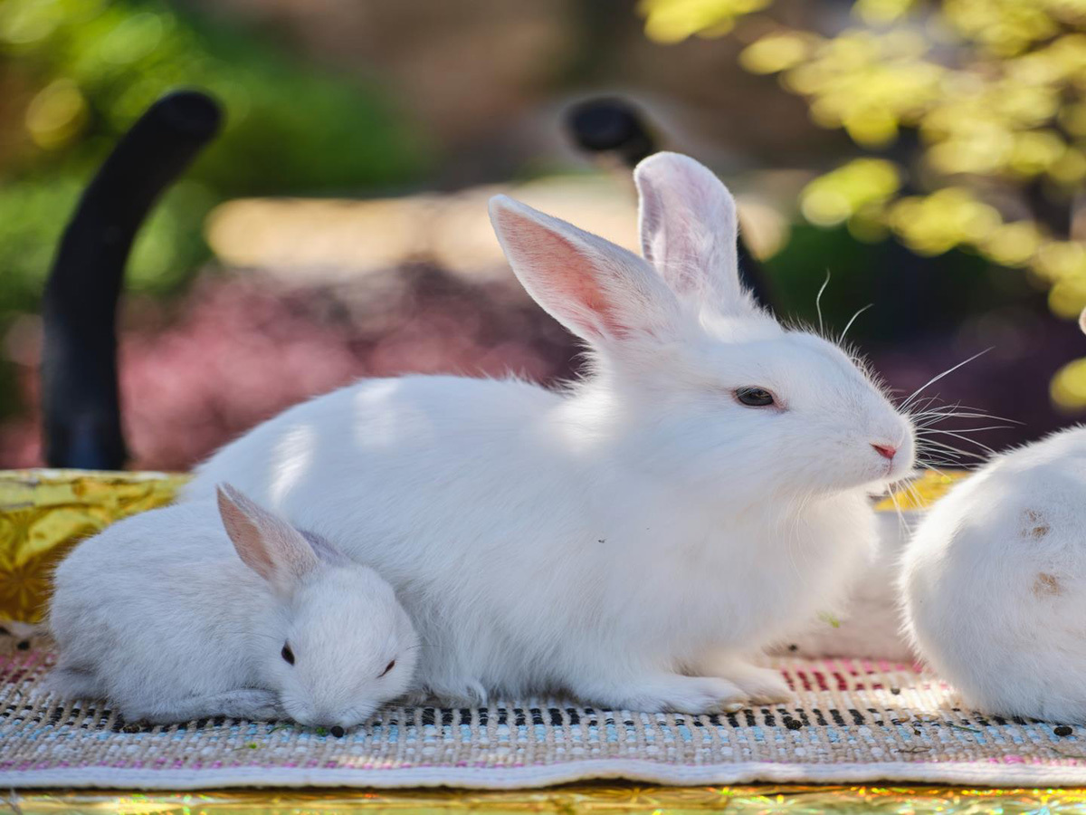 ASCII.jp：Power AutomateでExcelの特定のセルにデータを転記する方法