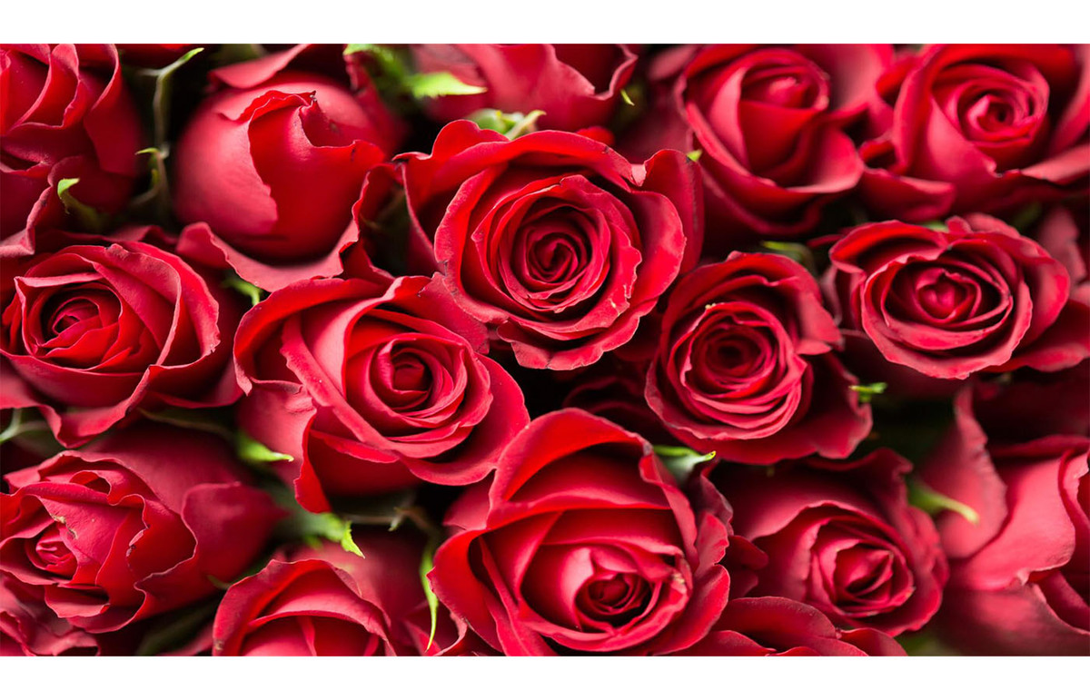 ASCII.jp：Power Queryの「列の分割」でExcelのセル内改行データを行で分割する