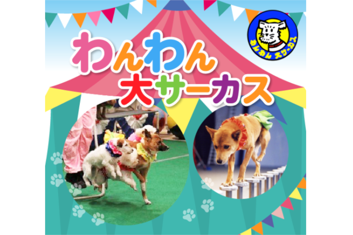 【hit住宅展示場 GWスペシャル】 「ファミリーフェスタ」開催 第2弾 4月28日（日）