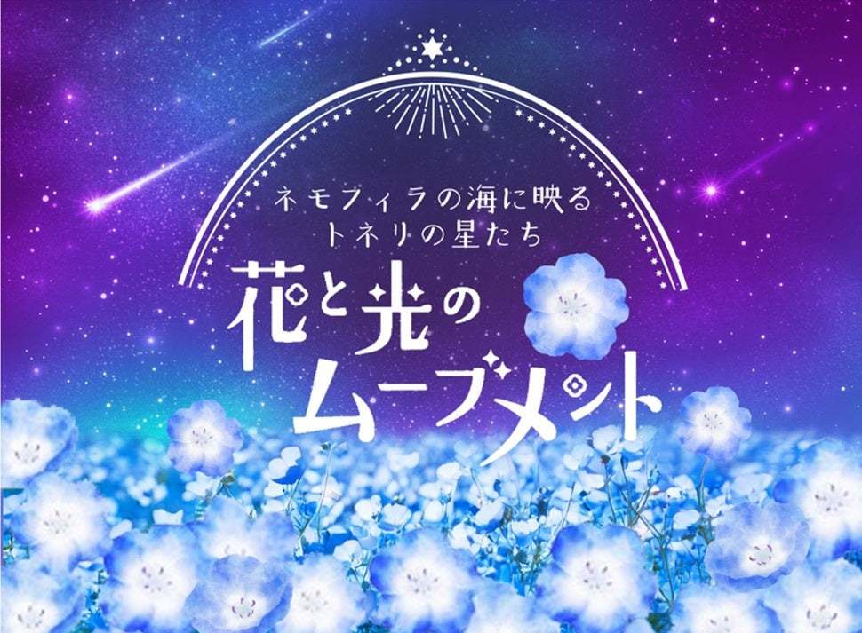 幻想的な光と花の競演！「花と光のムーブメント」舎人公園で開催