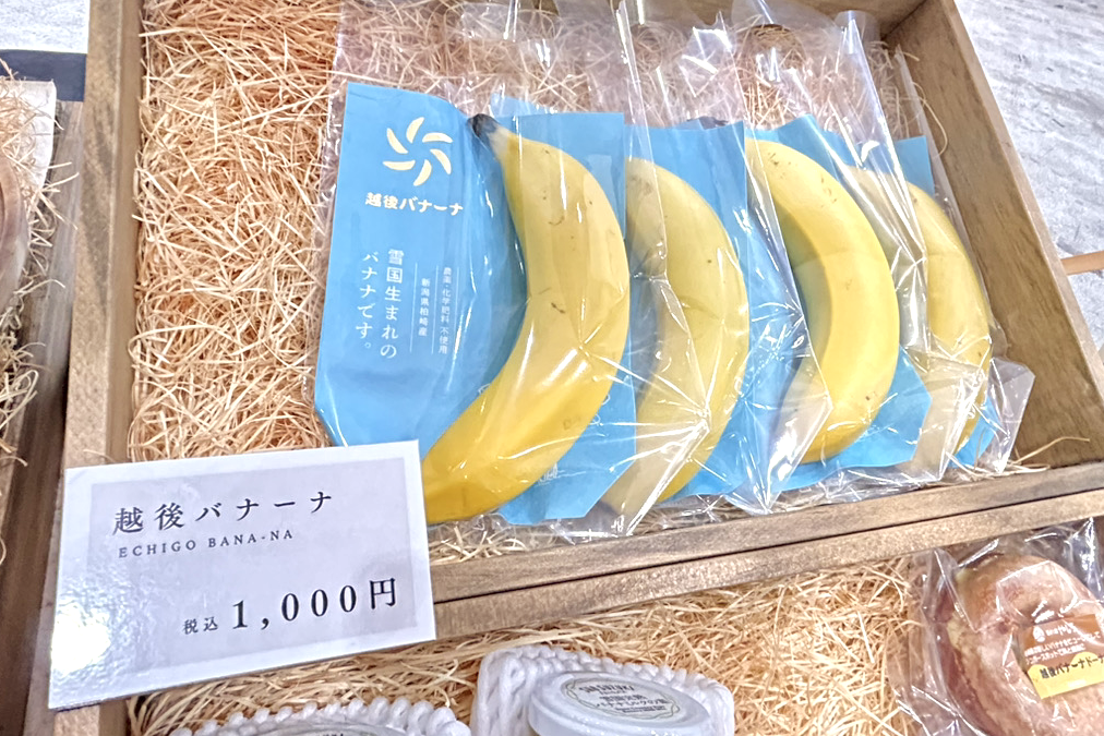 ASCII.jp：1本1000円もするバナナが「皮ごと食べられる」らしいので皮ごといってみた